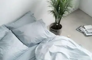 Best Antibacterial Bed Sheets (Silver-Infused)