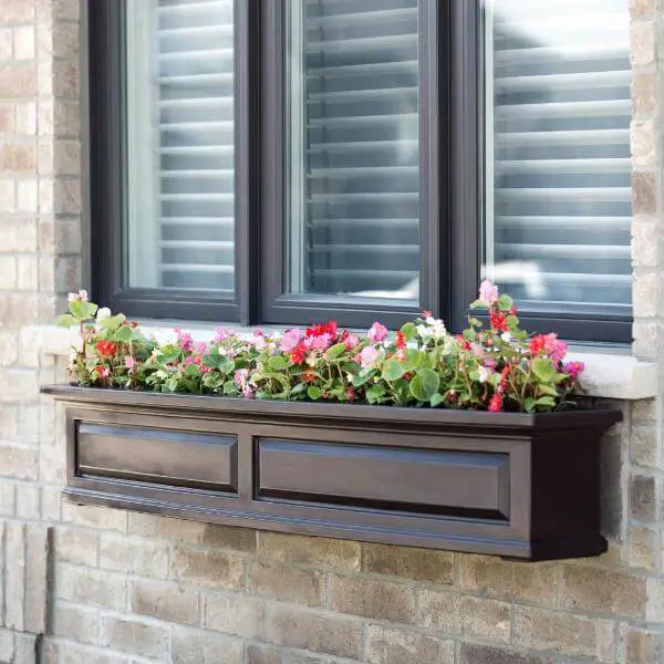 Best Window Boxes For Flowers