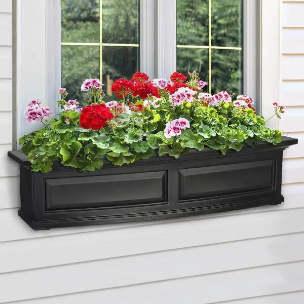 Best Window Boxes For Flowers