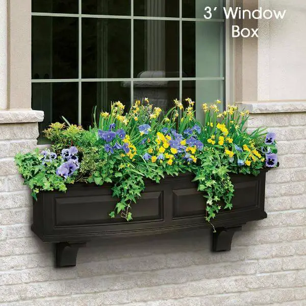 Best Window Boxes For Flowers