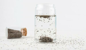 Chia Seed Water Benefits & Recipe