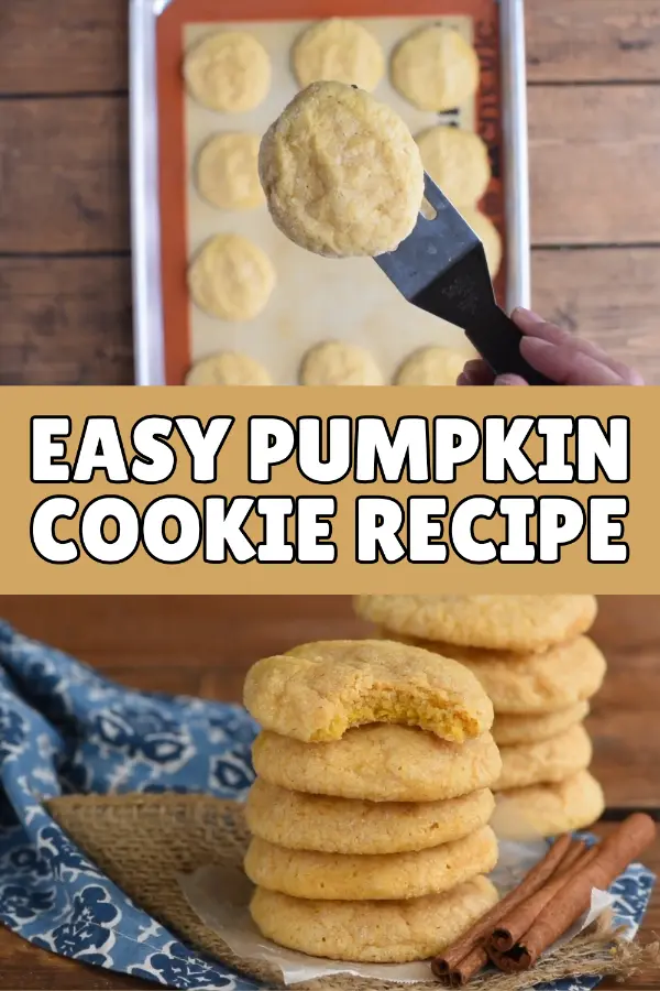 Easy Pumpkin Sugar Cookies Recipe
